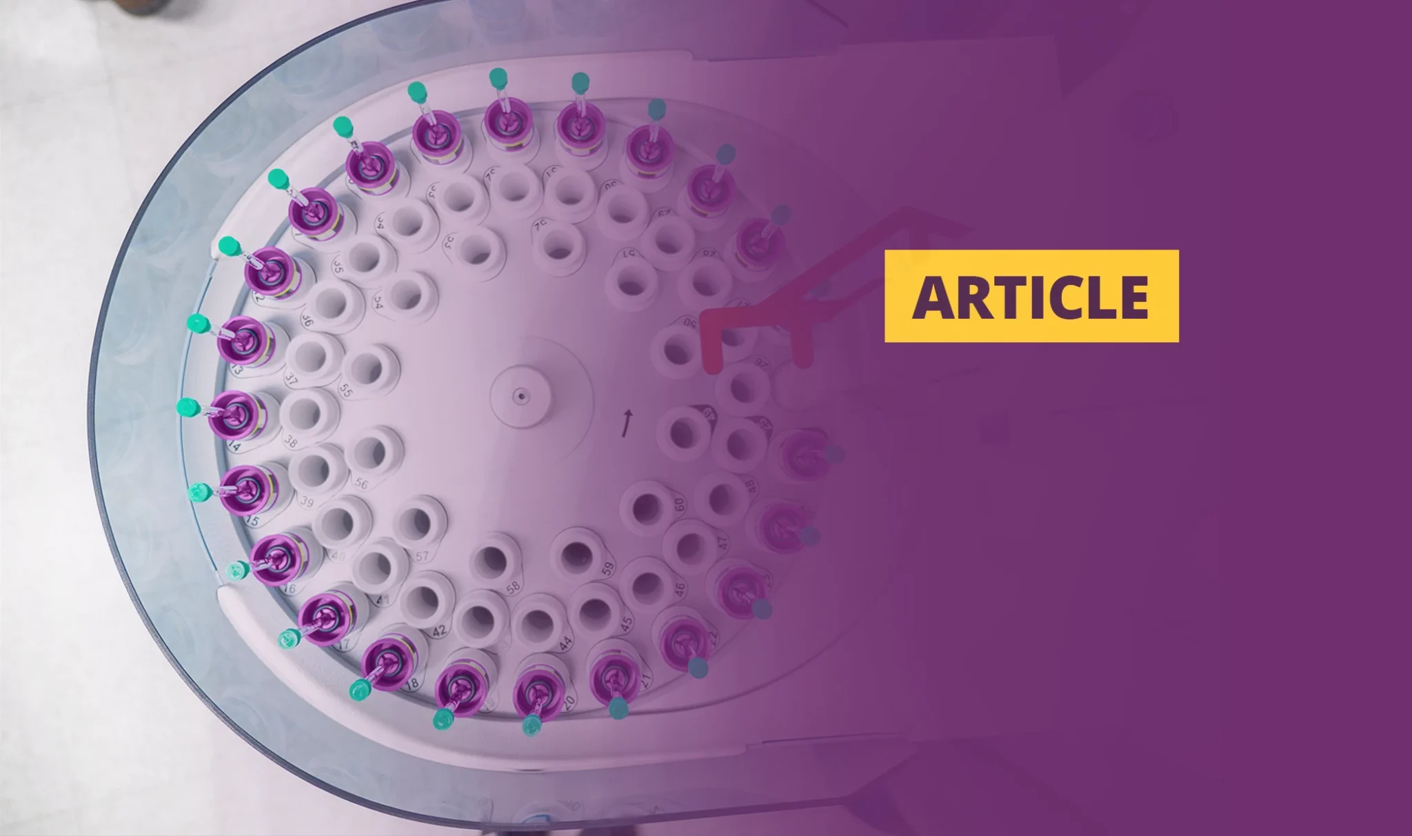 How T3P is helping to advance API development | Curia