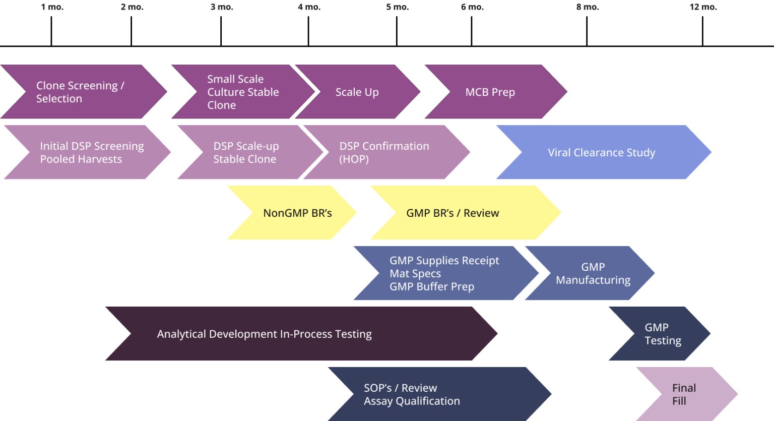 GMP Mammalian Manufacturing