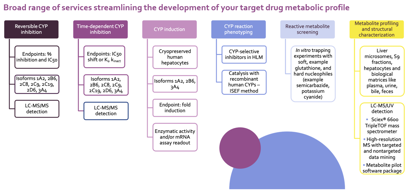 Drug Metabolism and Pharmacokinetics (DMPK)