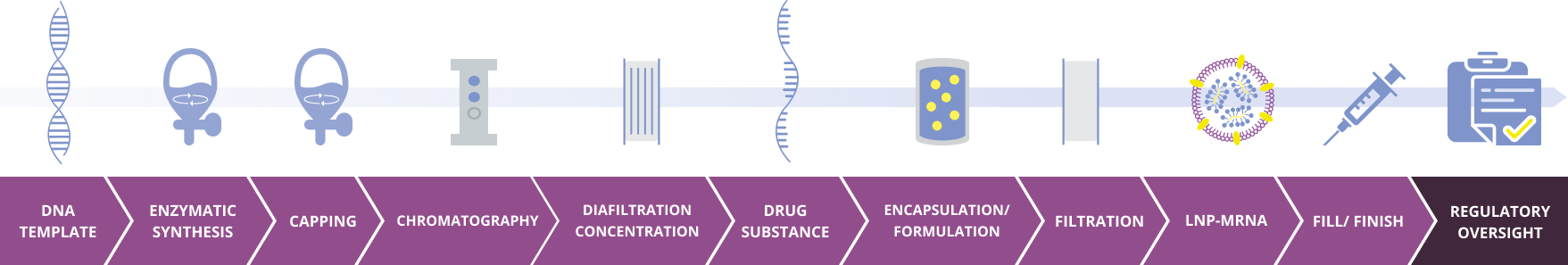 mRNA Process Development | Curia