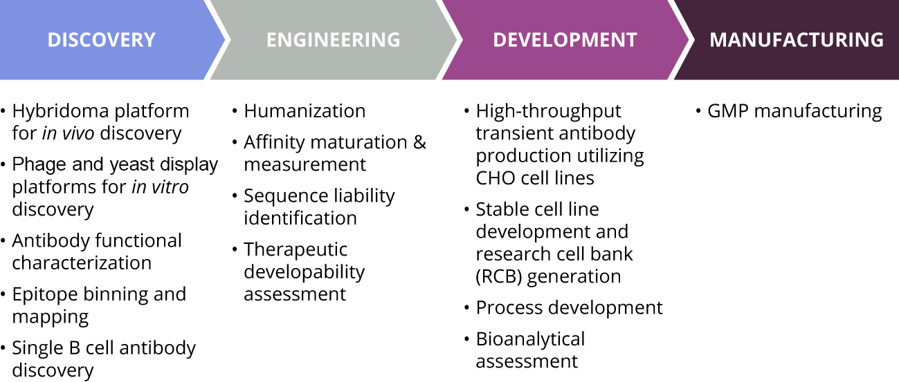 Antibody Drug Discovery