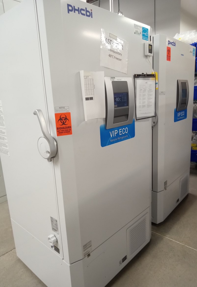 Biorepository Service | Curia