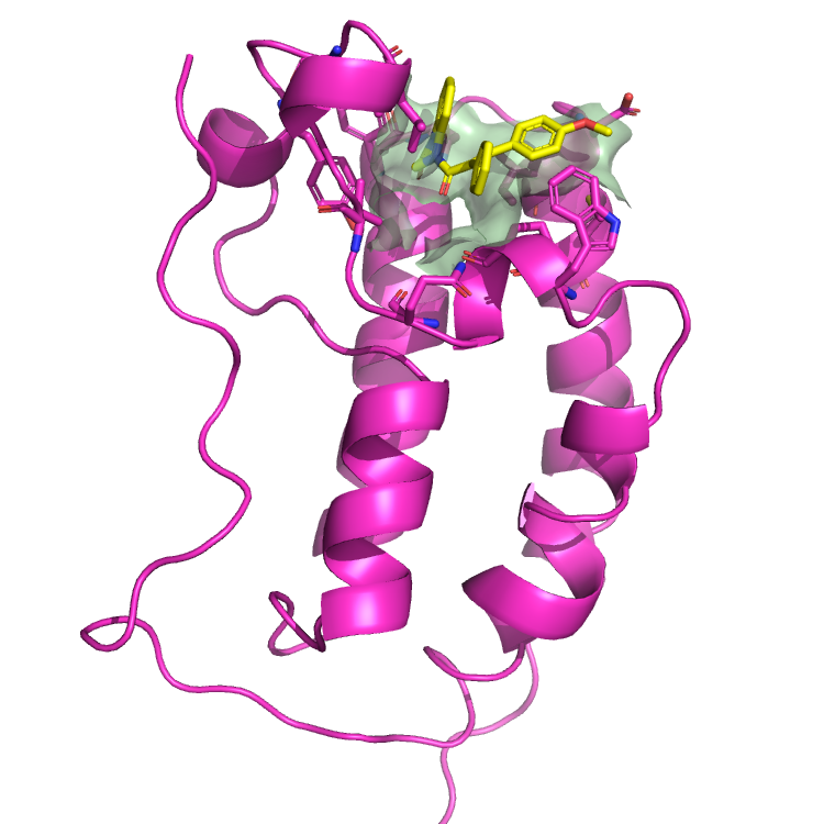 Computer Aided Drug Design